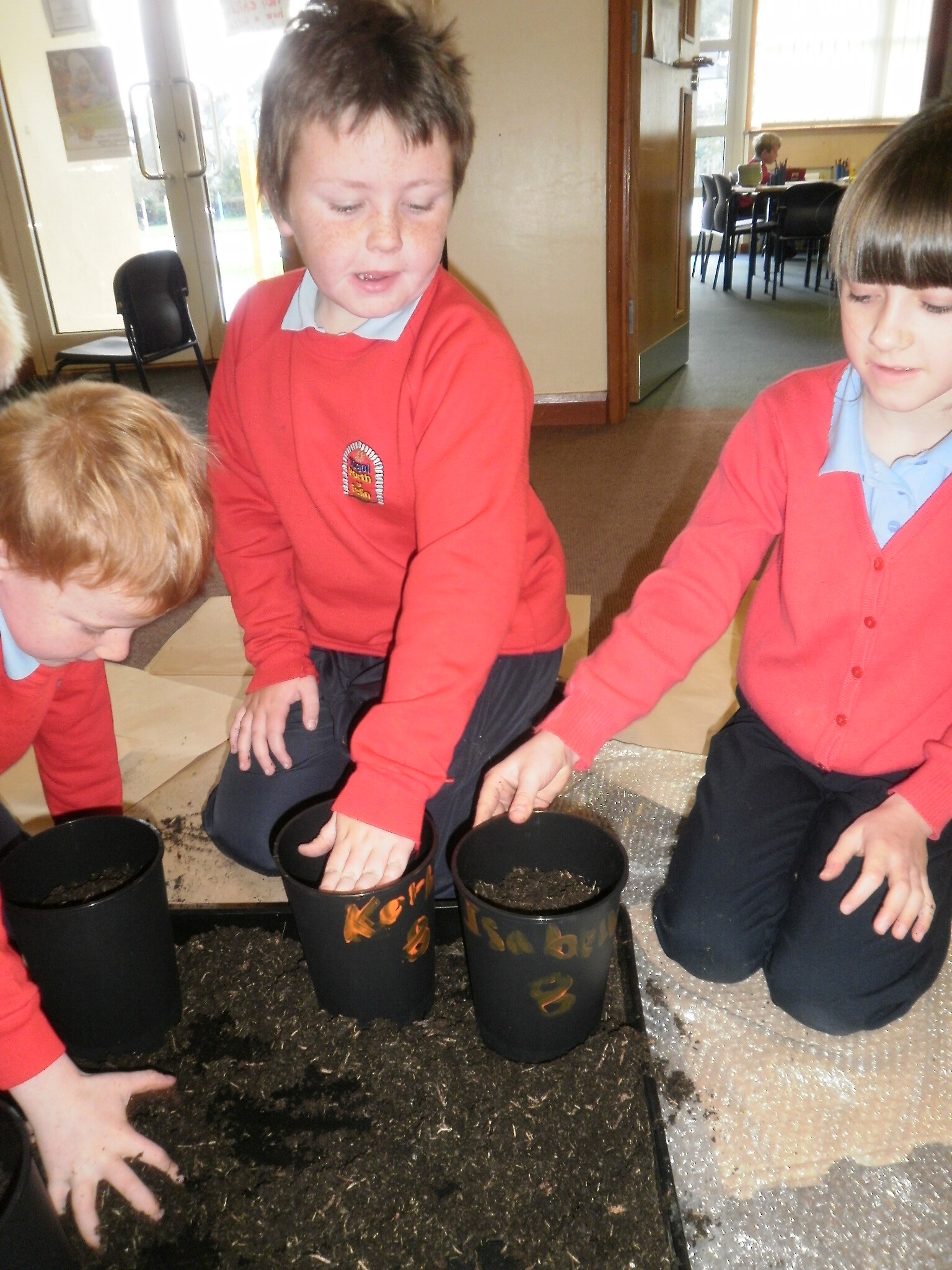 The big plant | Museum Wales