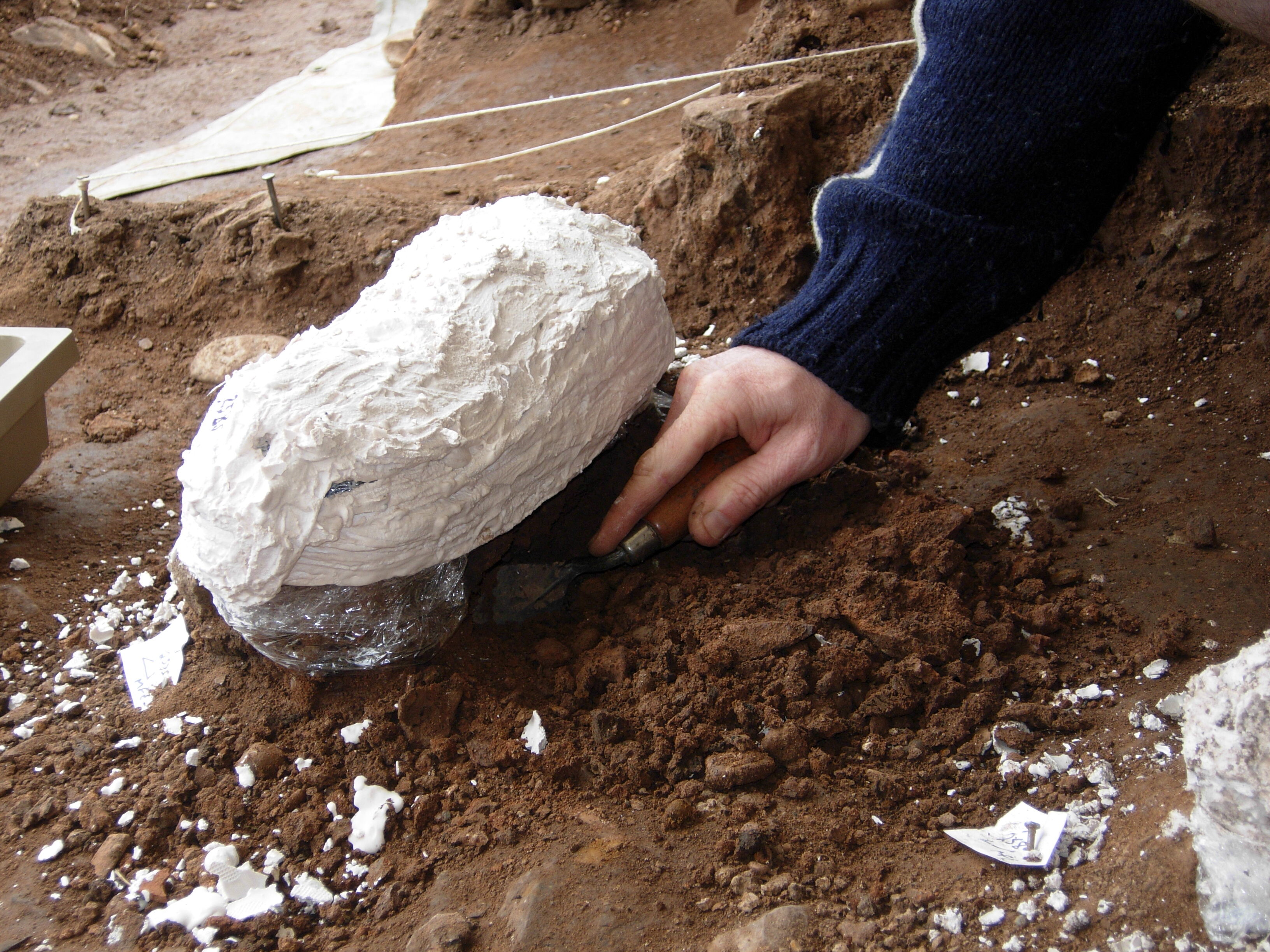 Conservation of Roman Armour | National Museum Wales