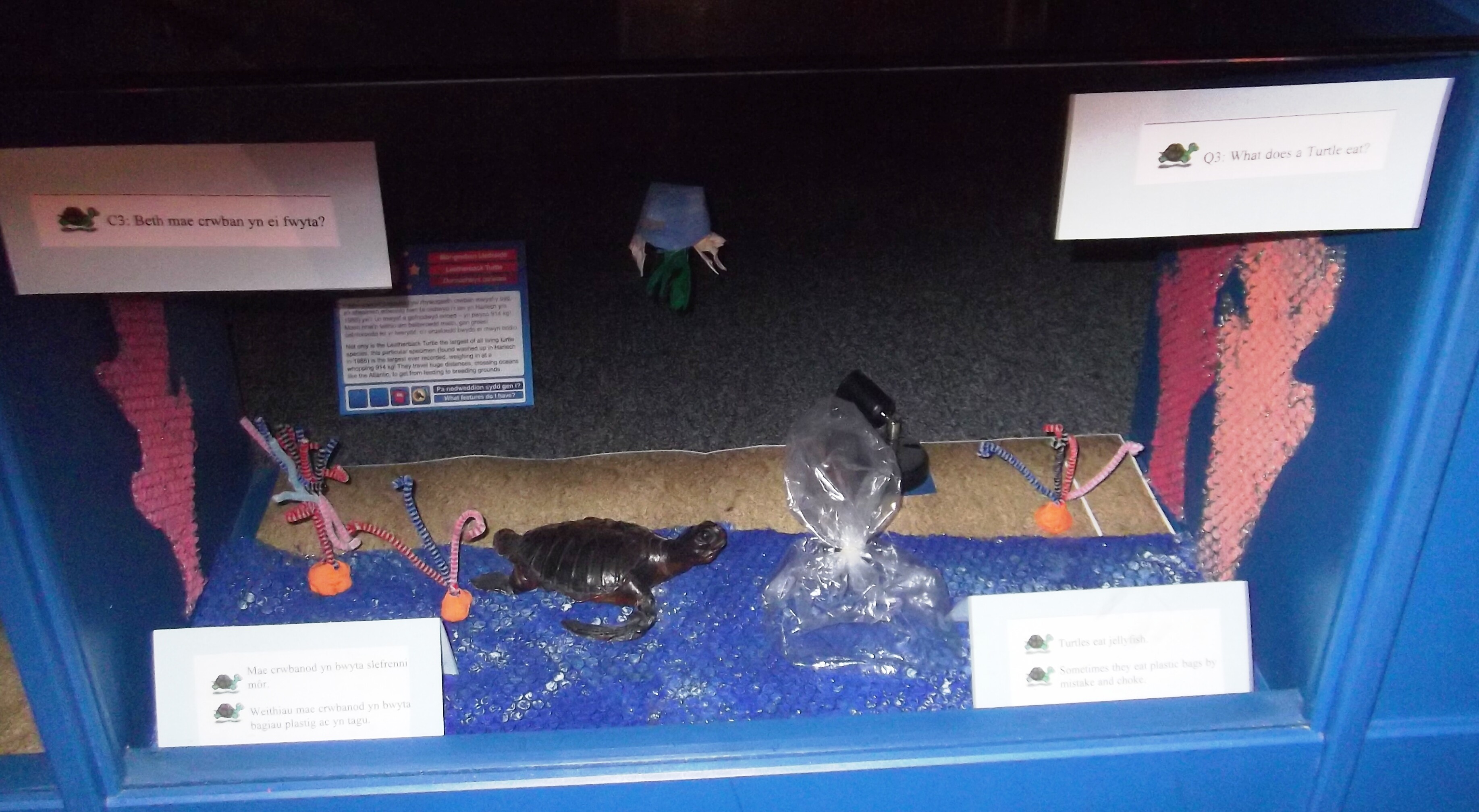 Museum Challenge | Museum Wales