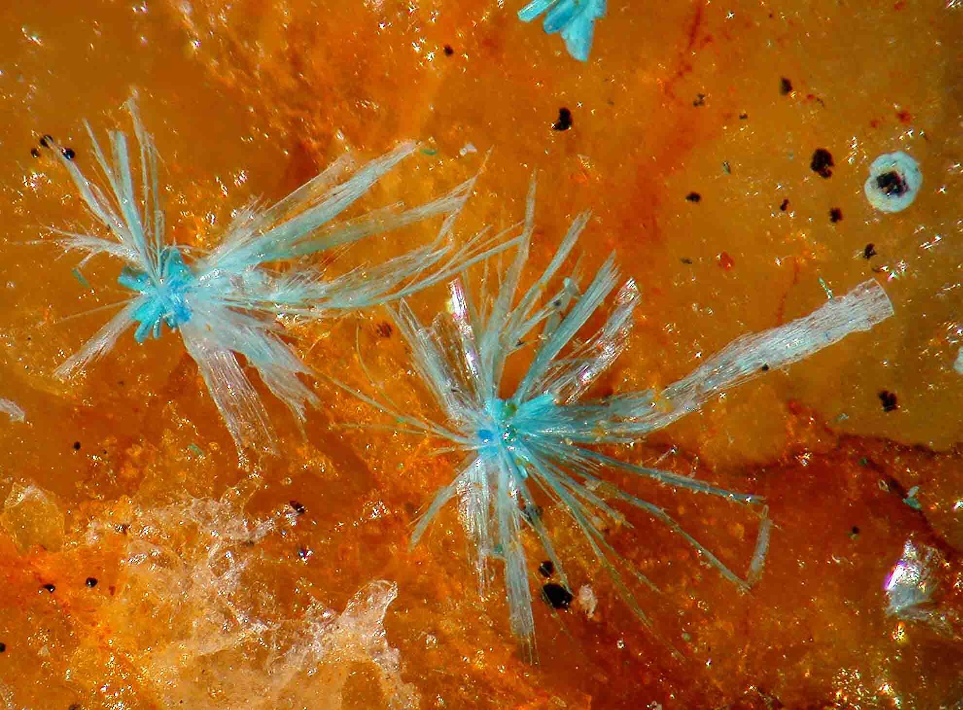 Mineral Database - Mineralogy of Wales | Museum Wales