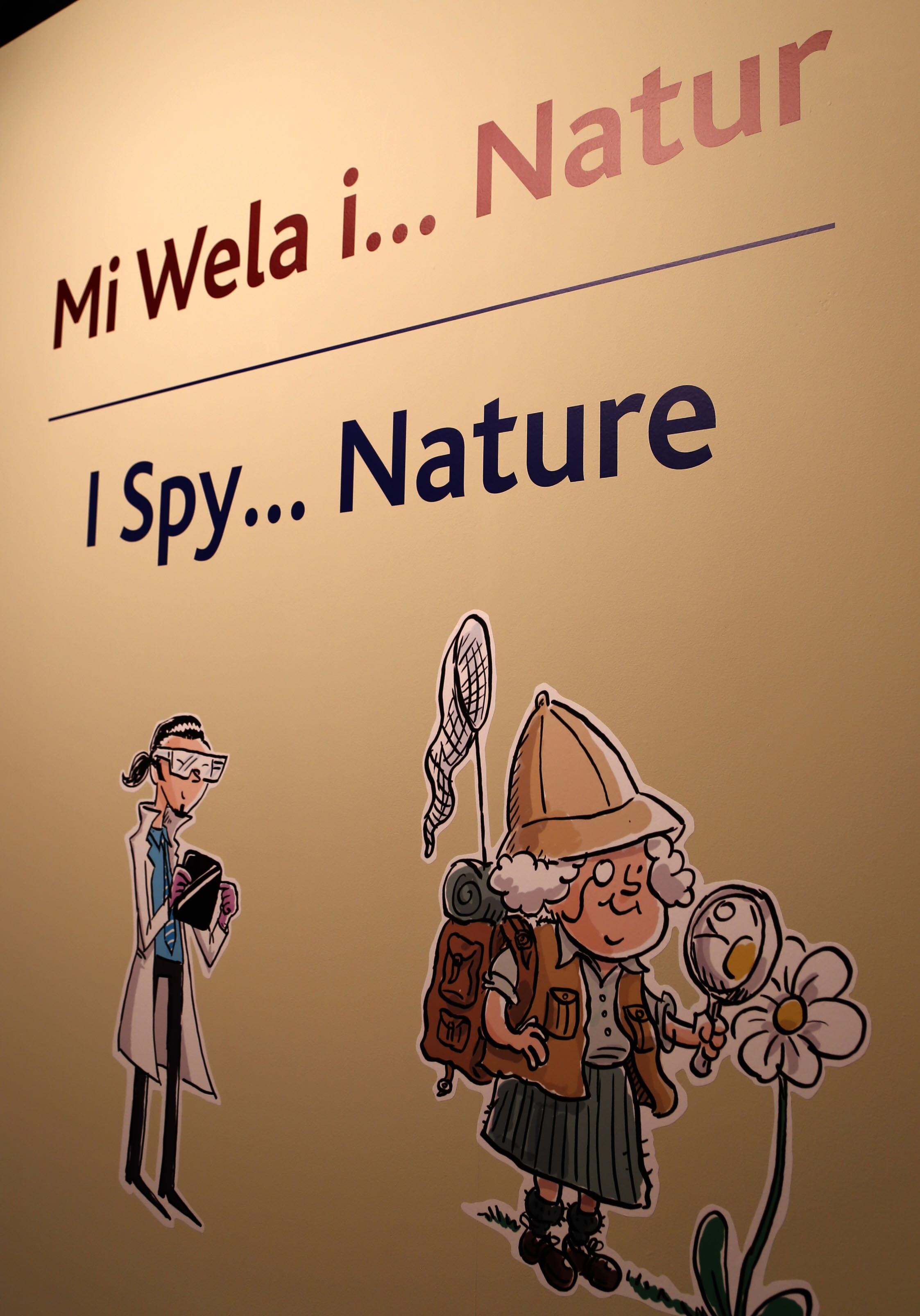 I Spy...Nature Exhibition is open | Museum Wales