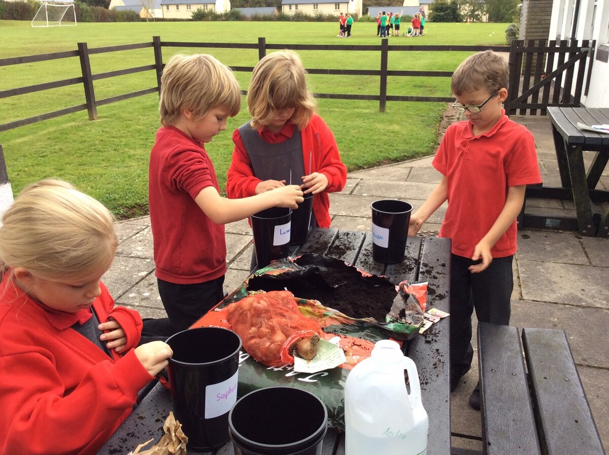 Winners of the Planting Day Photo Competition 2016 | Museum Wales