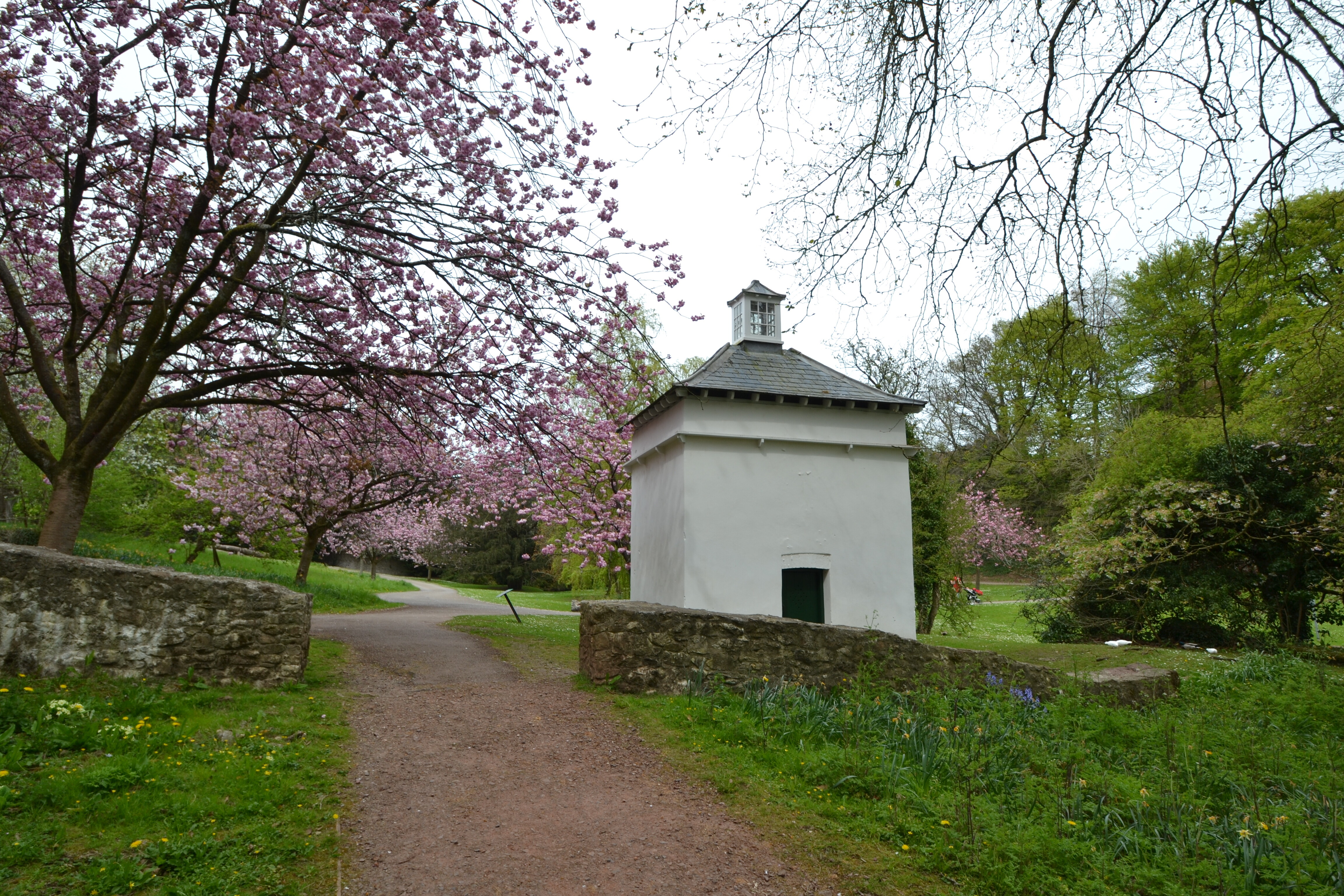 The Dovecote | Museum Wales