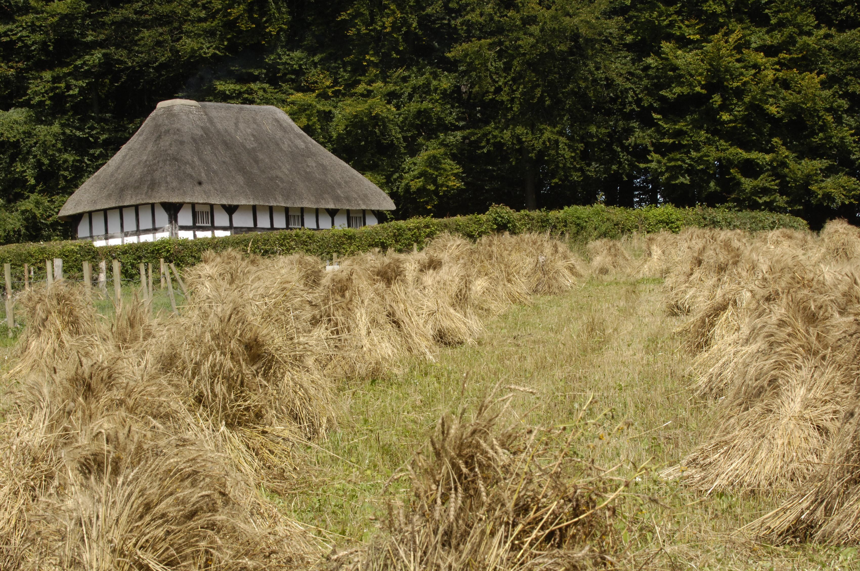 Abernodwydd Farmhouse | Museum Wales