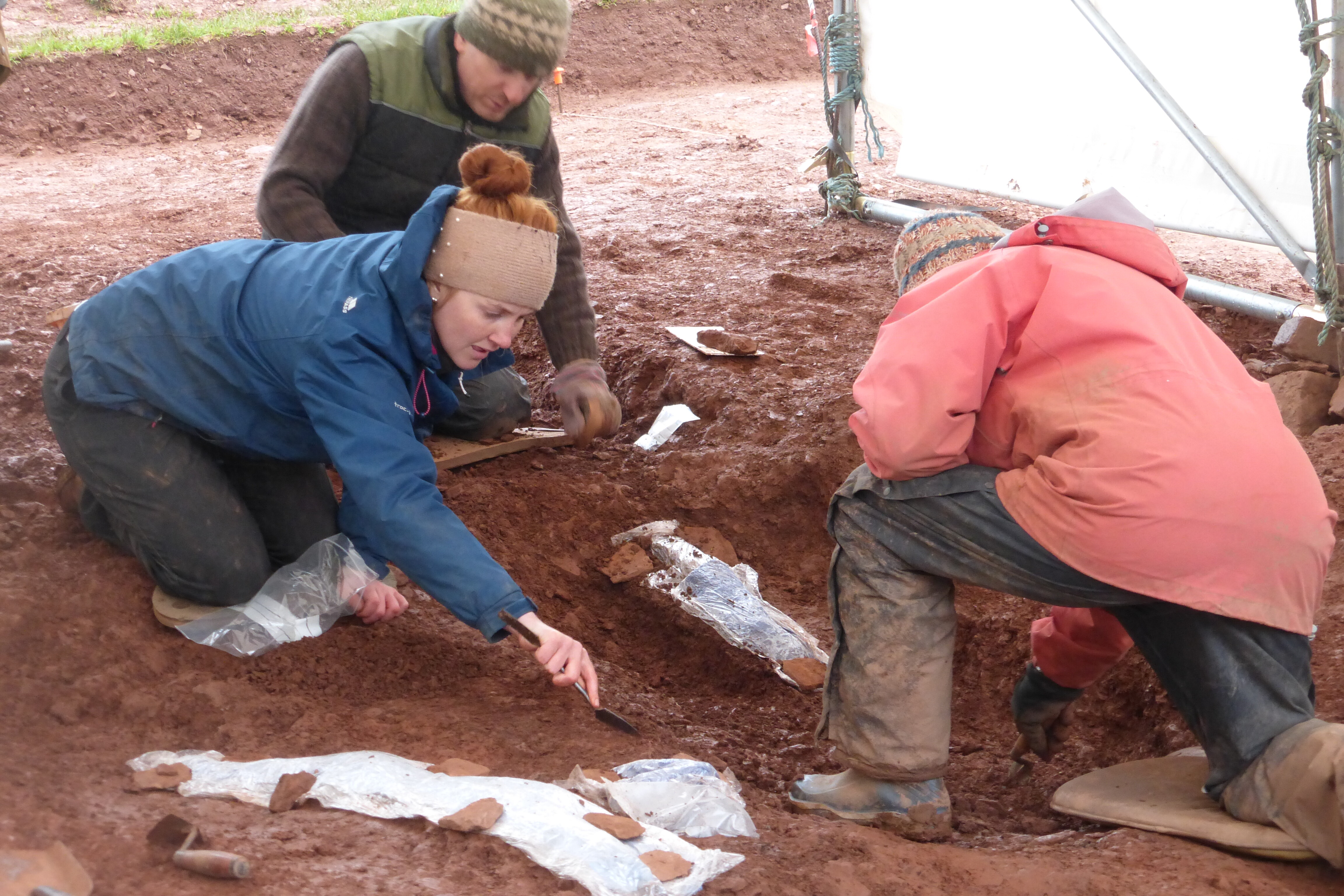 Volunteer Blog: The Chariot Project | National Museum Wales