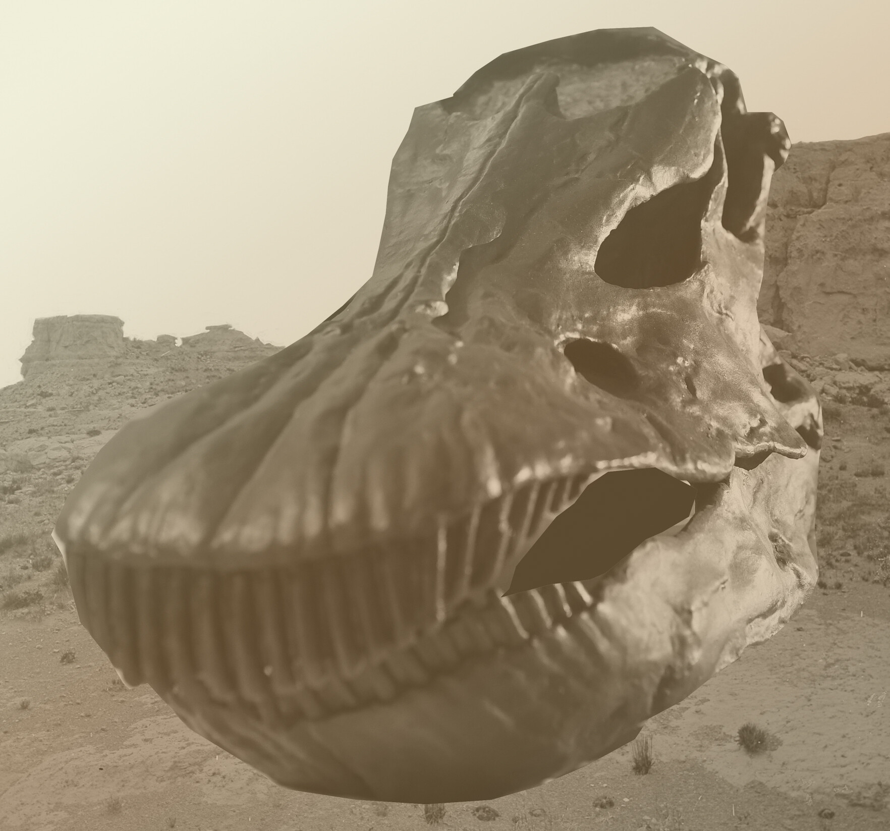 What is Dippy’s real name? | Museum Wales