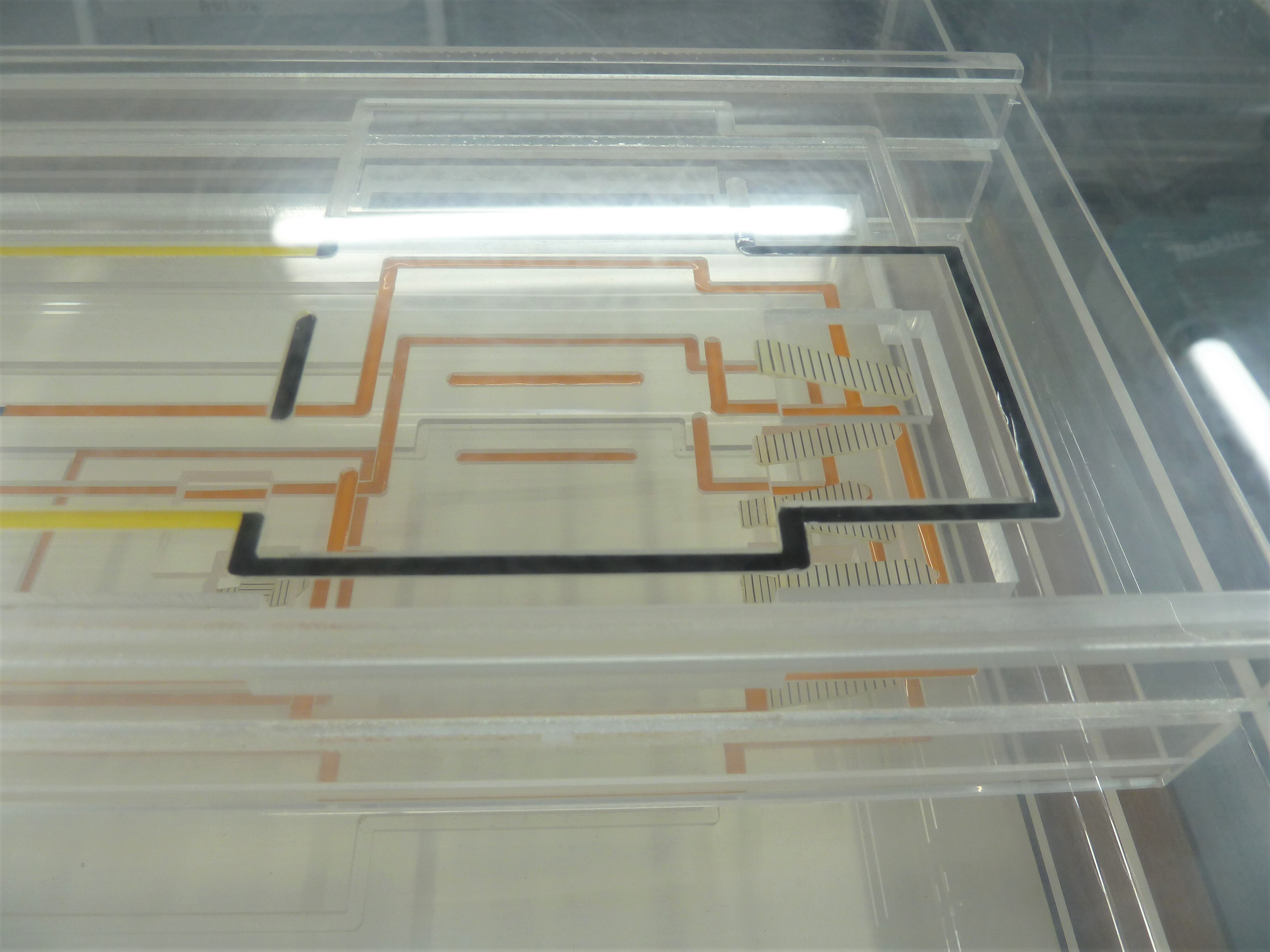 Museum models | National Museum Wales