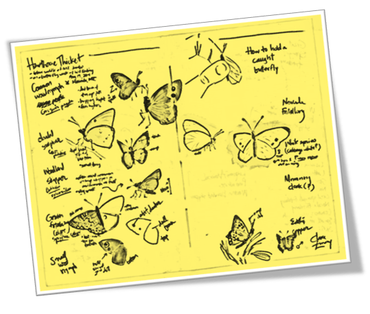 Creating a Field Notebook