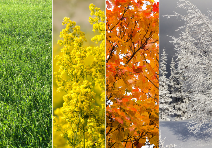 The Changing Seasons | Museum Wales