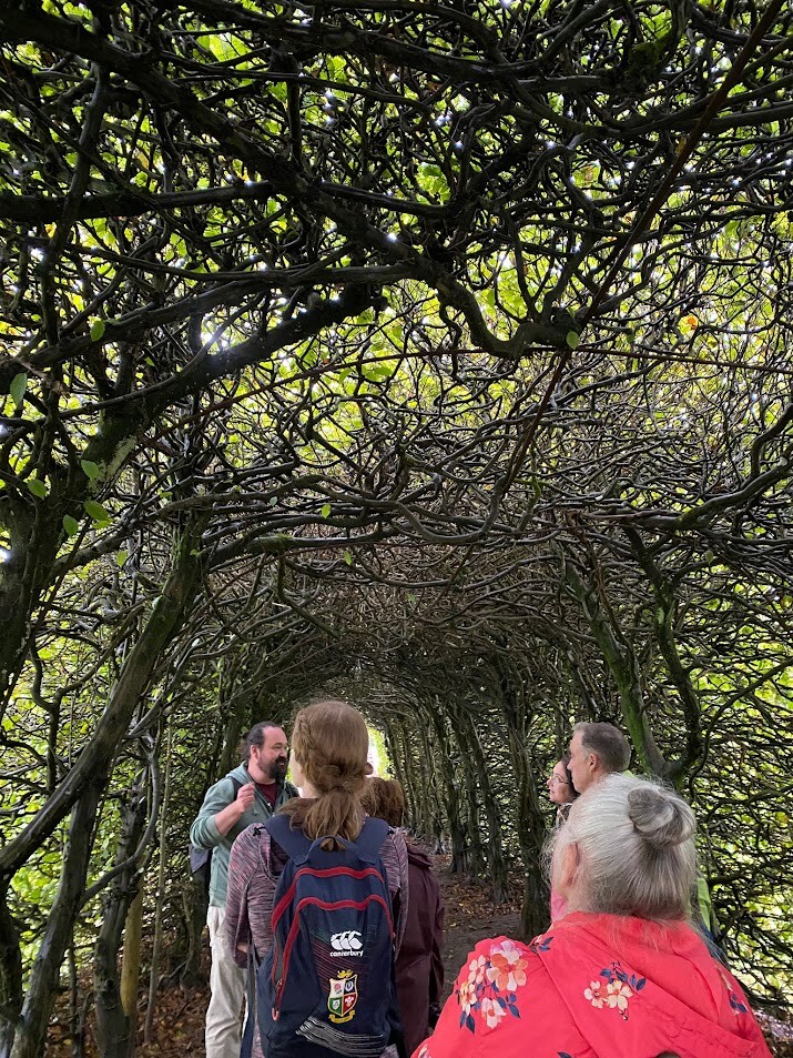 Adult Learners Week – Mindful Nature Walk | Museum Wales