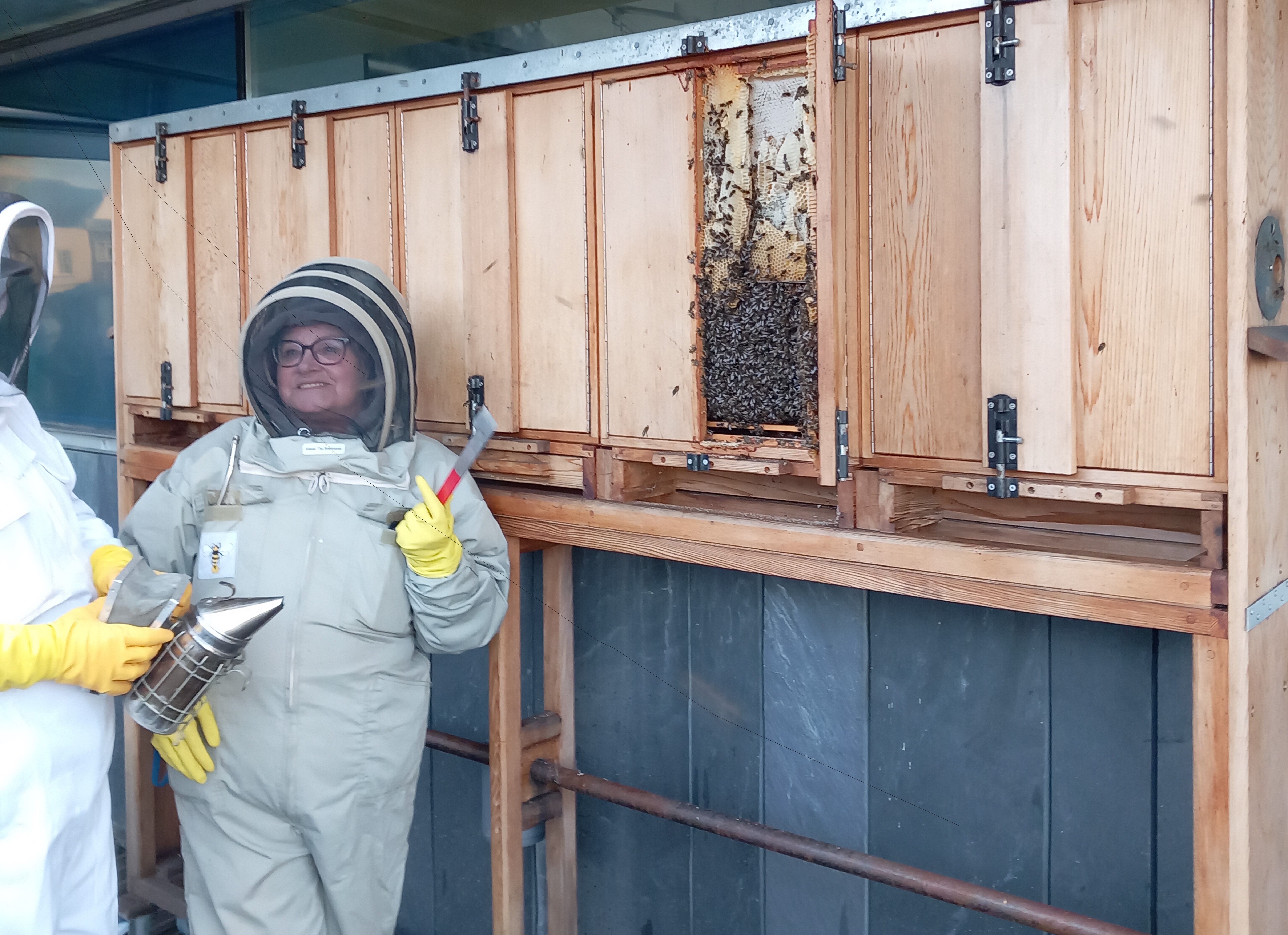 Dementia Friendly Activity: Honeybees | Museum Wales