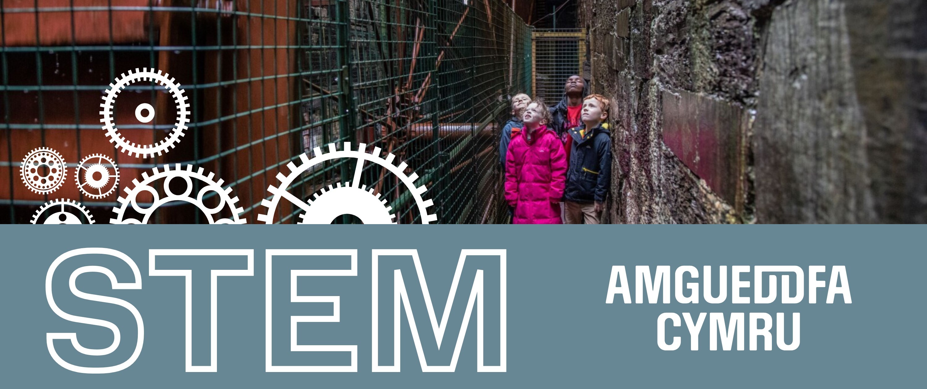 STEM at our museums | Museum Wales