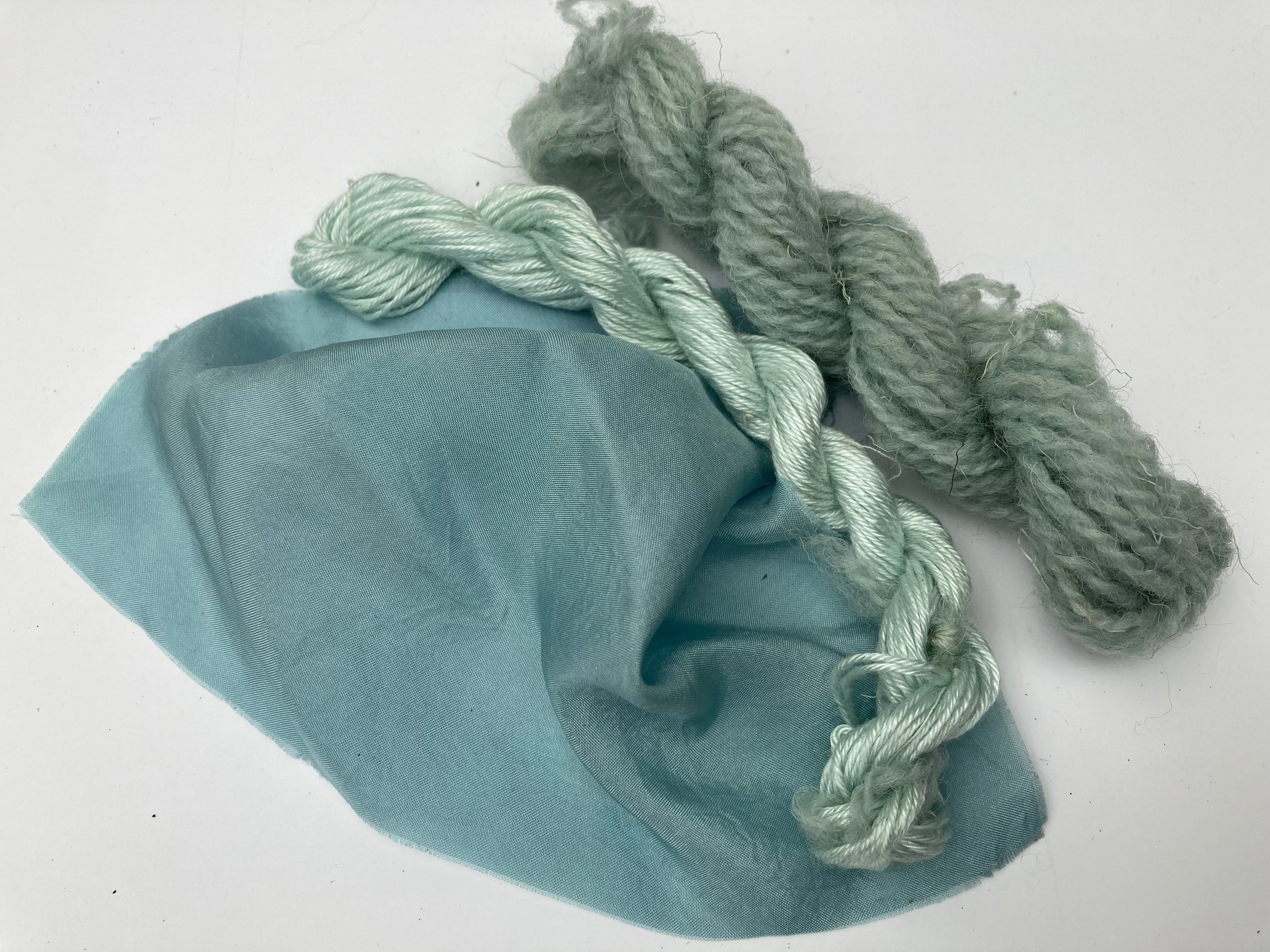 Woad- Fresh Leaves Workshop | Museum Wales