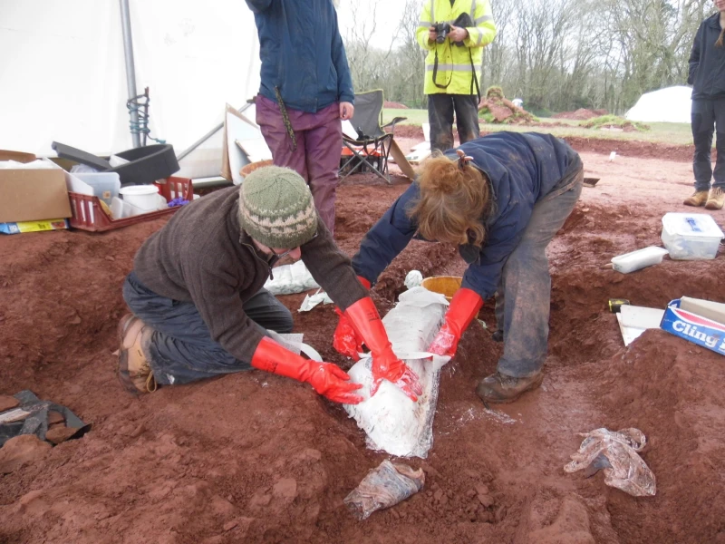 Behind the Scenes: Wales' first Celtic Chariot Burial | Museum Wales