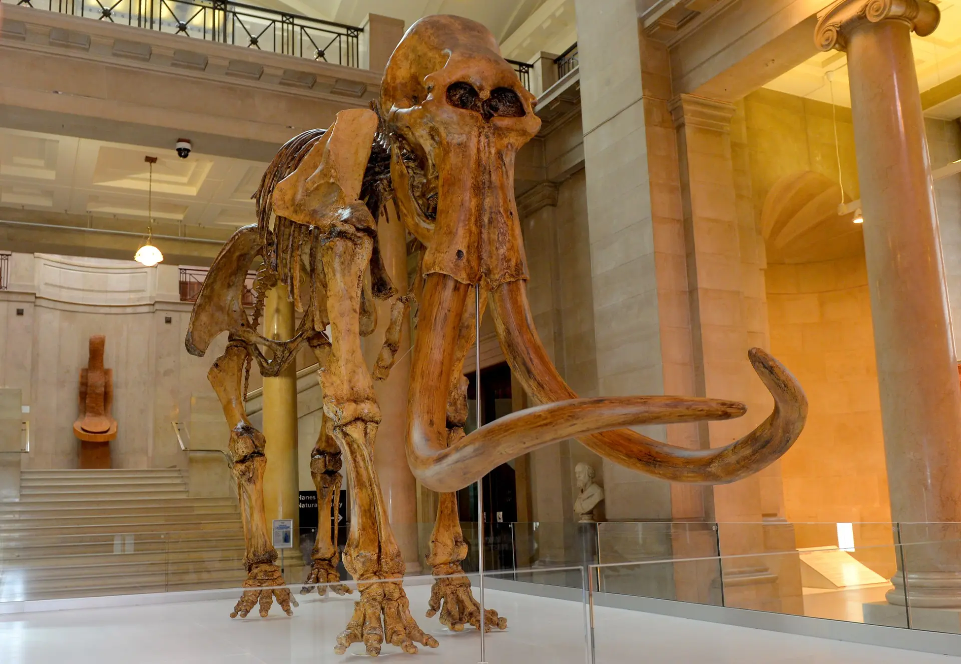 National Museum Cardiff: Daily Admission | Museum Wales